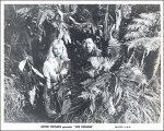 She Demons (1958) – The Visuals – The Telltale Mind