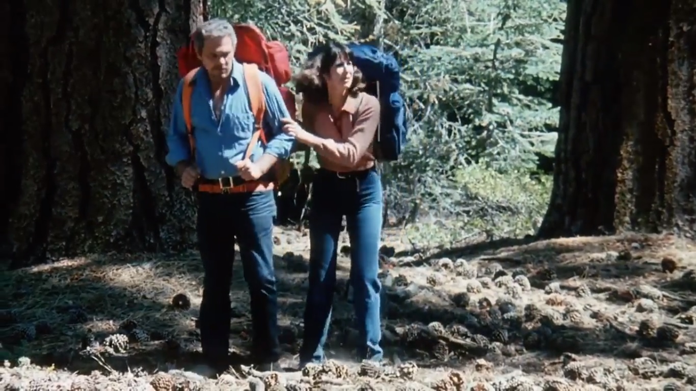 The Forest (1982) – The Visuals – The Telltale Mind