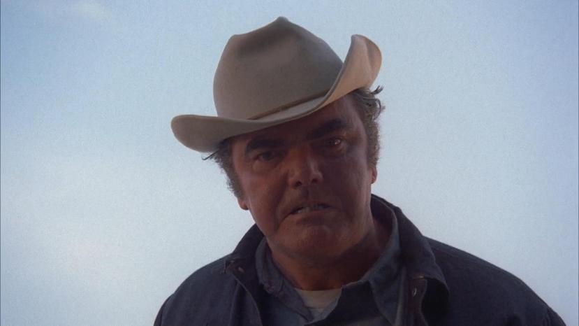 Fangs (1974) – The Visuals – The Telltale Mind